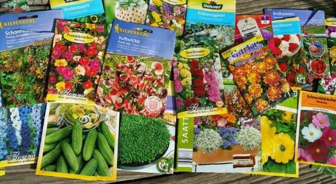 8 Tipps, wie es mit der Aussaat klappt - Gartenzeitung.com