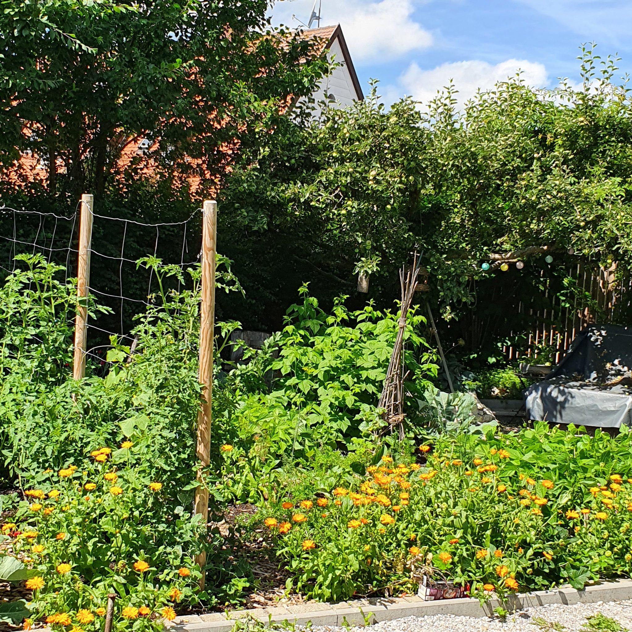 Der eigene Garten zum Selbstversorgen - Veganer Lebensstil ...